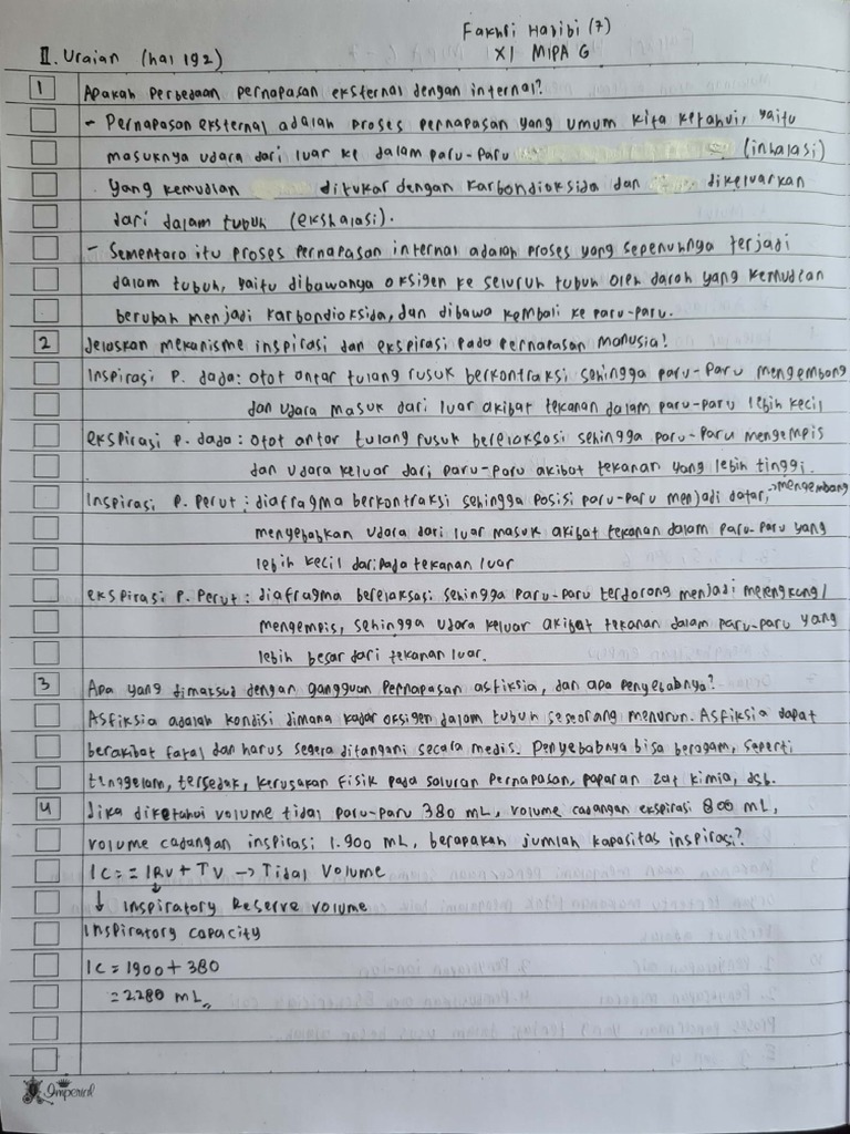 Jahah | PDF