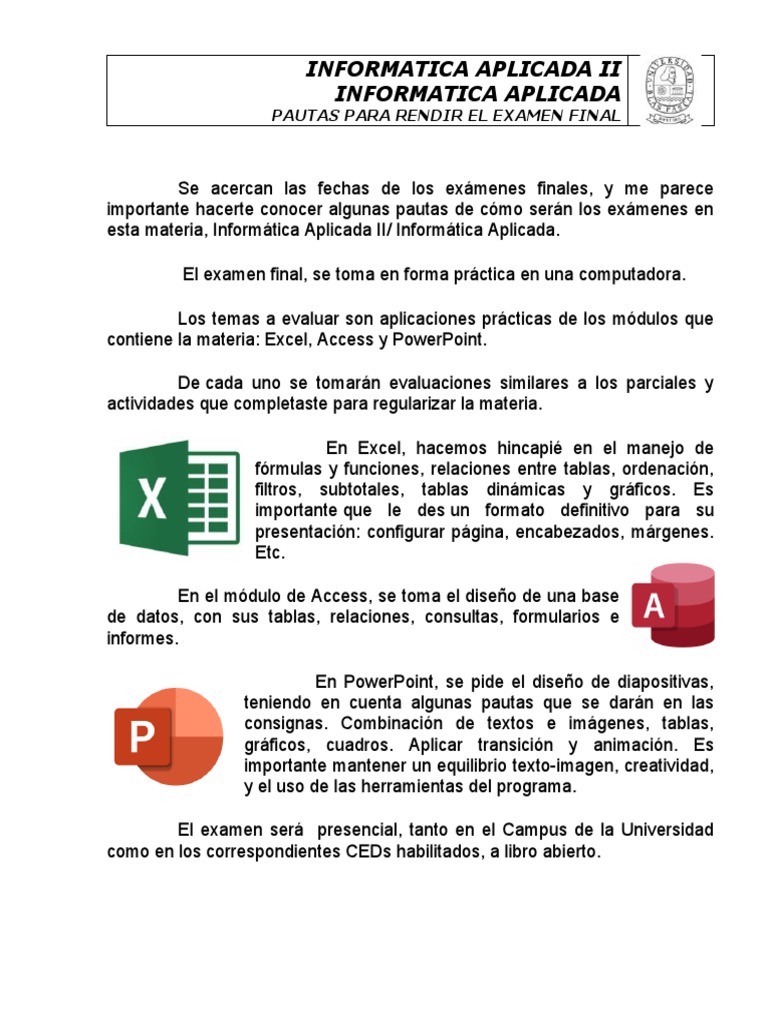 IAII 2022 2 Pautas Examen Final | PDF