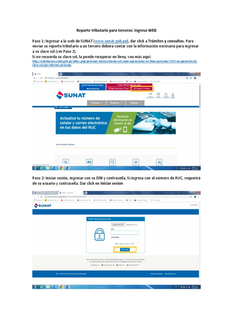SUNAT - Guía para Remitir El Reporte Tributario | PDF