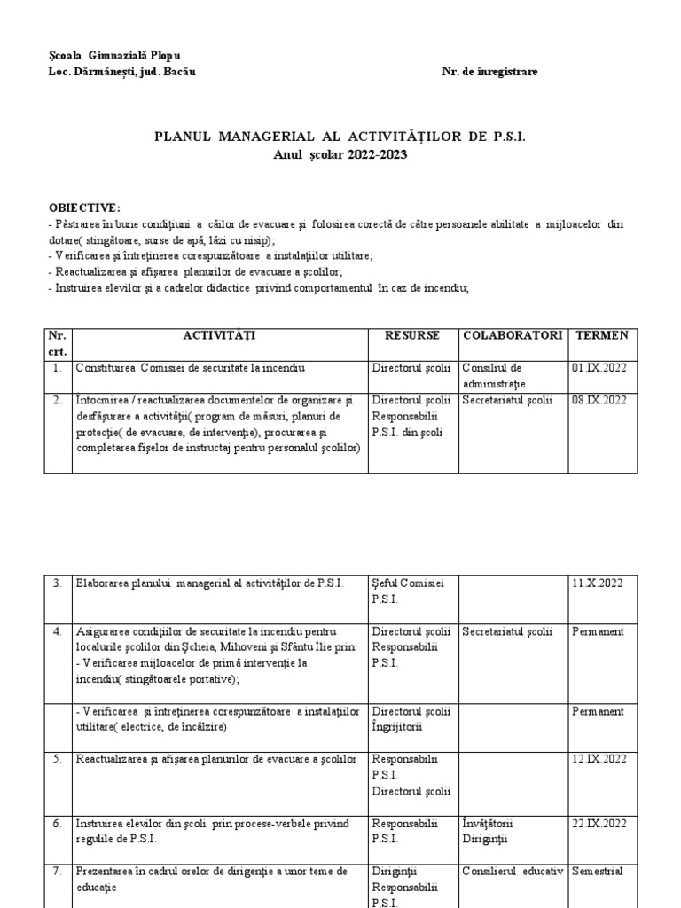 Plan Managerial Isu | PDF