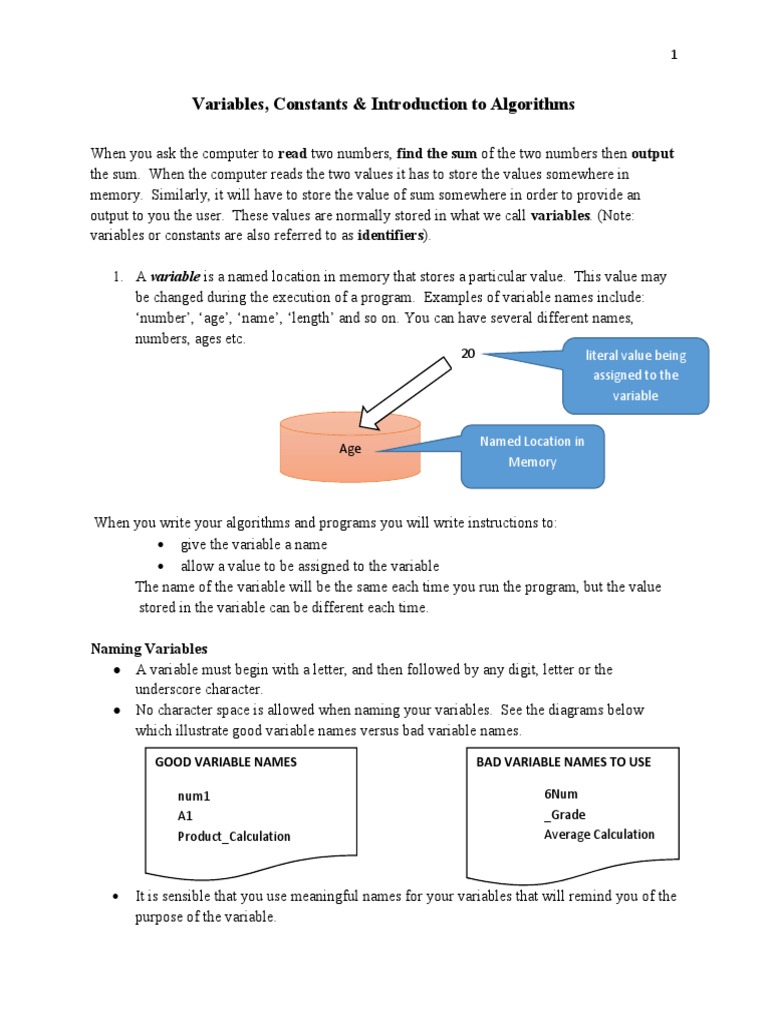 Introduction To Pseudocode Algorithm Handout Pdf Data Type Algorithms 6158