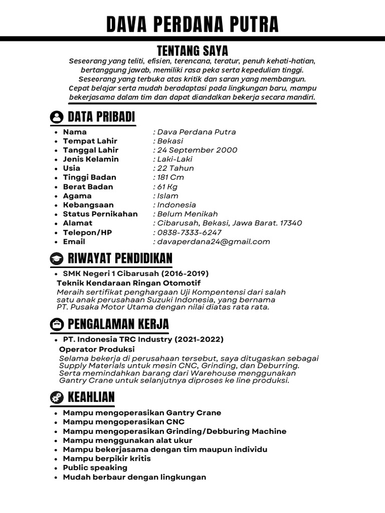 Curriculum Vitae Dava | PDF | Karier & Perkembangan