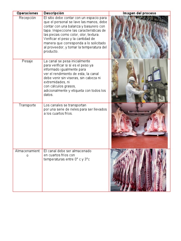 Proceso de Clasificación y Destazado de Canales Bovina | PDF | Carne