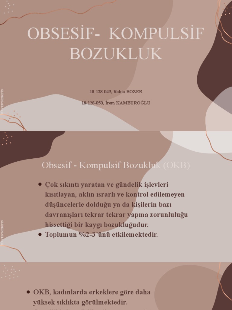 OKB Sunum | PDF