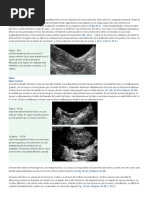 Medidas y Posiciones del Útero en Ecografía | PDF | Ultrasonido médico ...