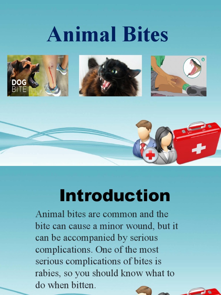 Animal Bites | Download Free PDF | Stroke | Wound