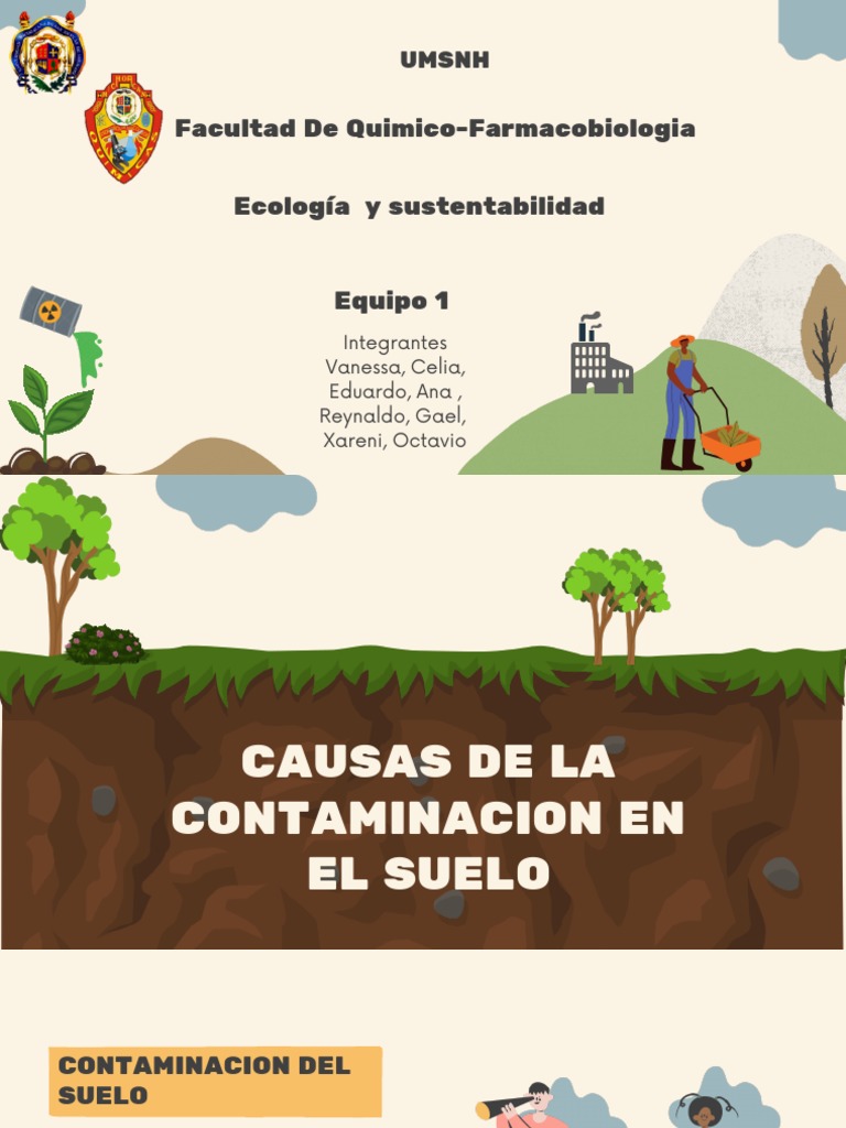 Contaminacion Del Suelo | Descargar gratis PDF | Residuos | Contaminación