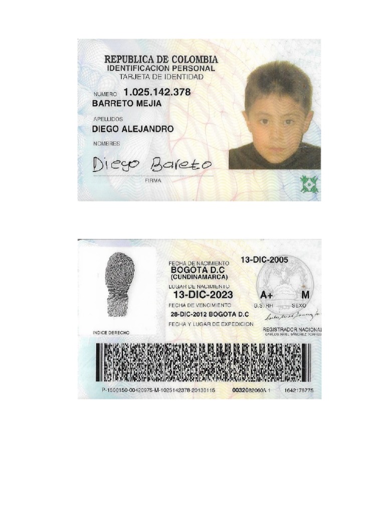 Documento de Identidad | PDF