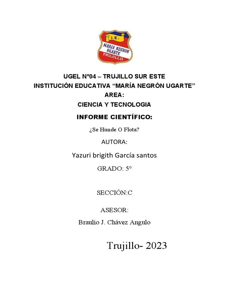 EL INFORME CIENTIFICO Modelo | PDF