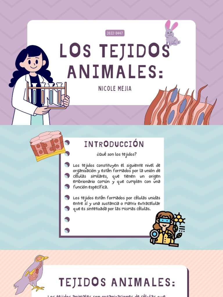 Los Tejidos Animales | PDF | Tejido (biología) | Músculo