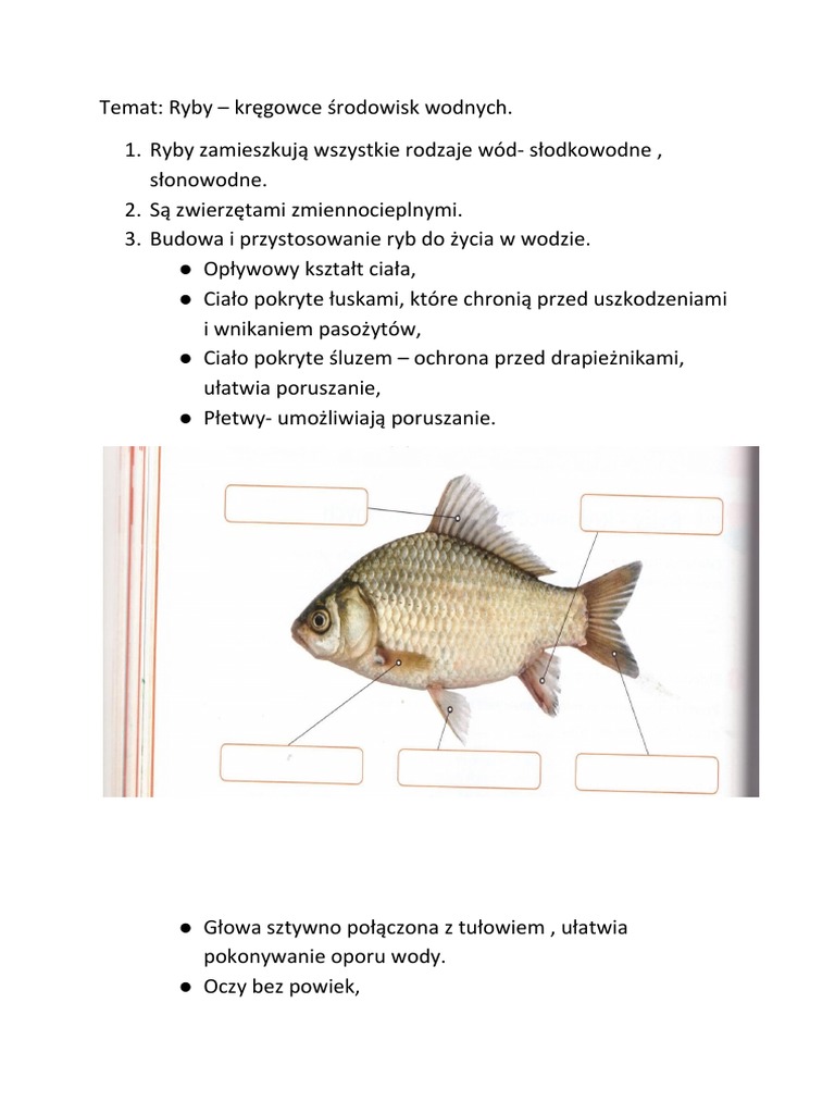 Ryby Notatka | PDF
