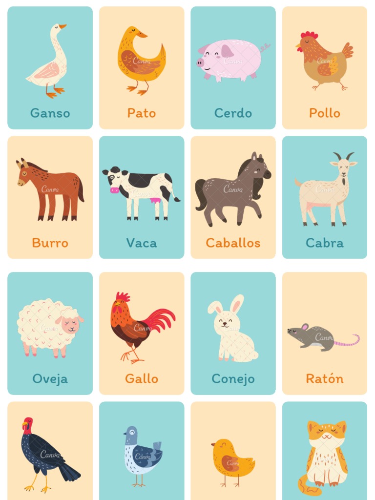 Animales Dibujado A Mano Flashcard Tarjetas | PDF