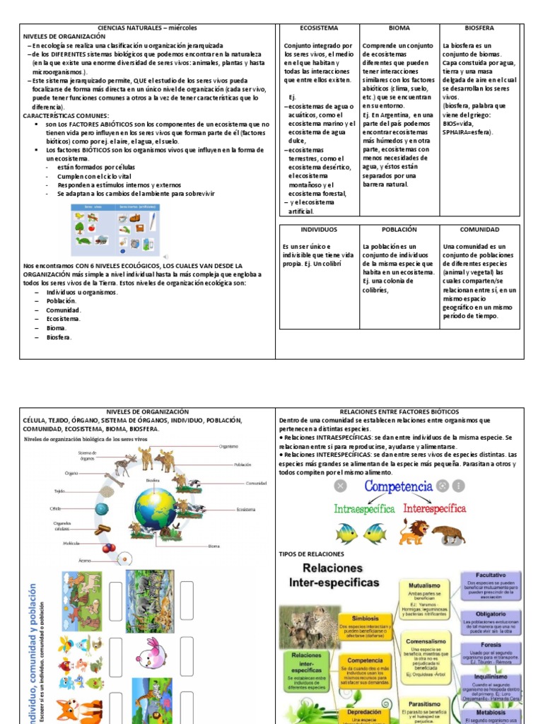 Ciencias - Naturales | PDF | Red alimentaria | Ecosistema