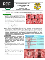Anatomia da Laringe: Estruturas e Funções | PDF | Laringe | Anatomia humana