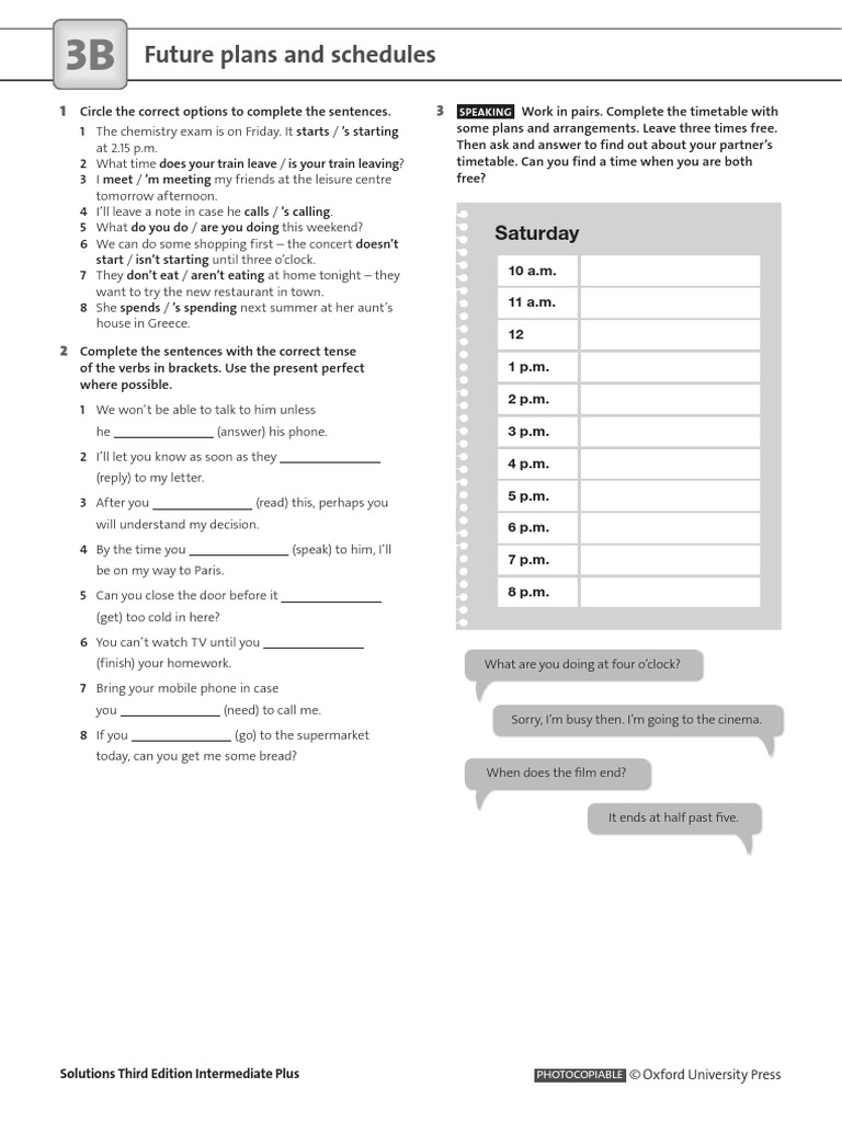 3B Future Plans and Schedules | PDF