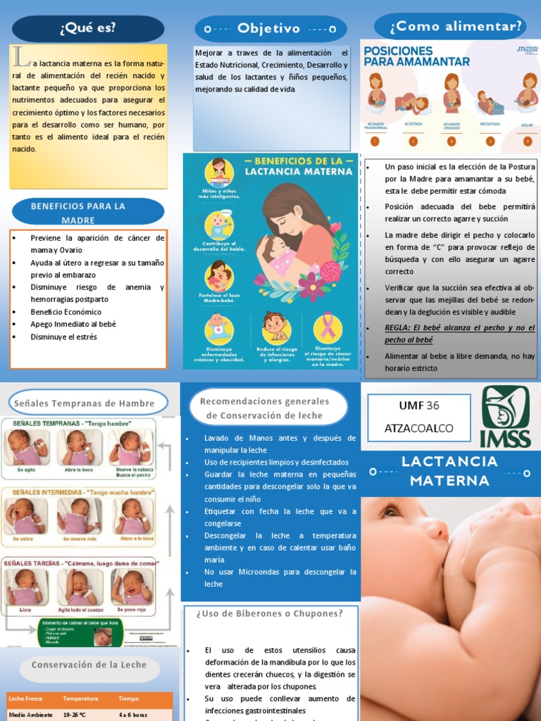Tríptico sobre Lactancia Materna | PDF | Amamantamiento | Leche