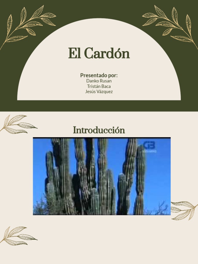 El Cardón | PDF