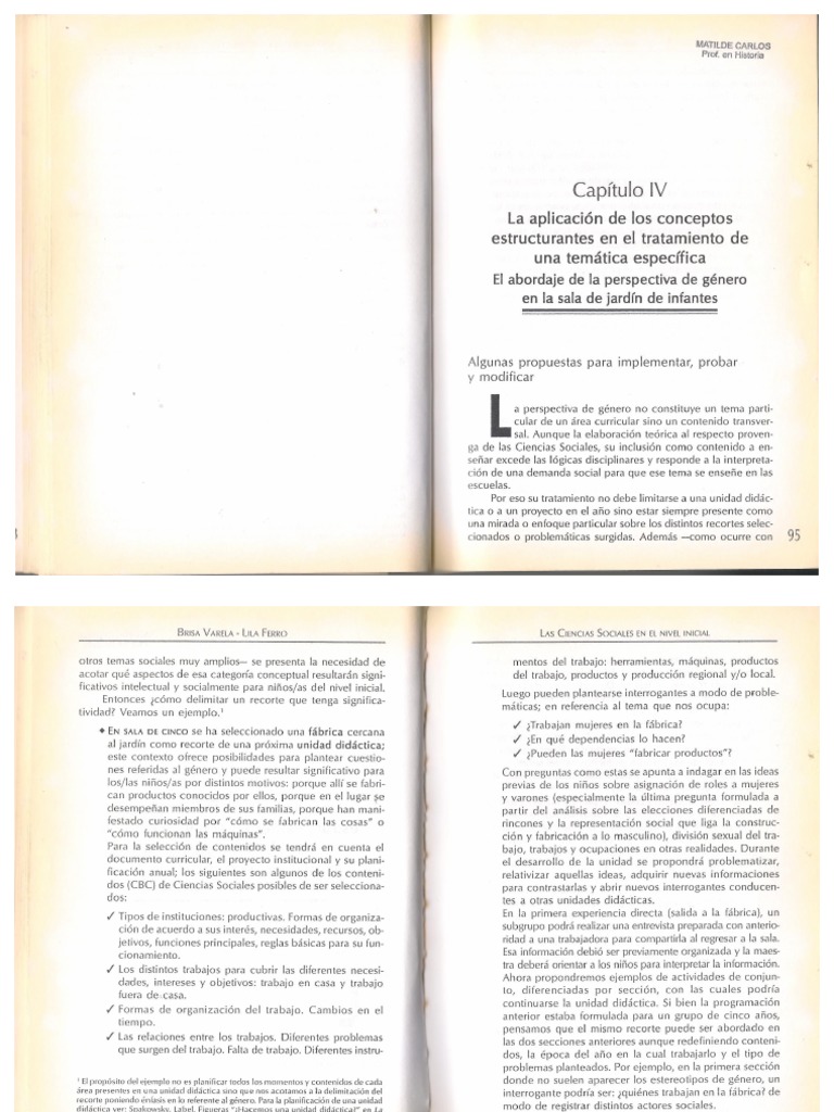 Varela Ferro Cap 4 | PDF