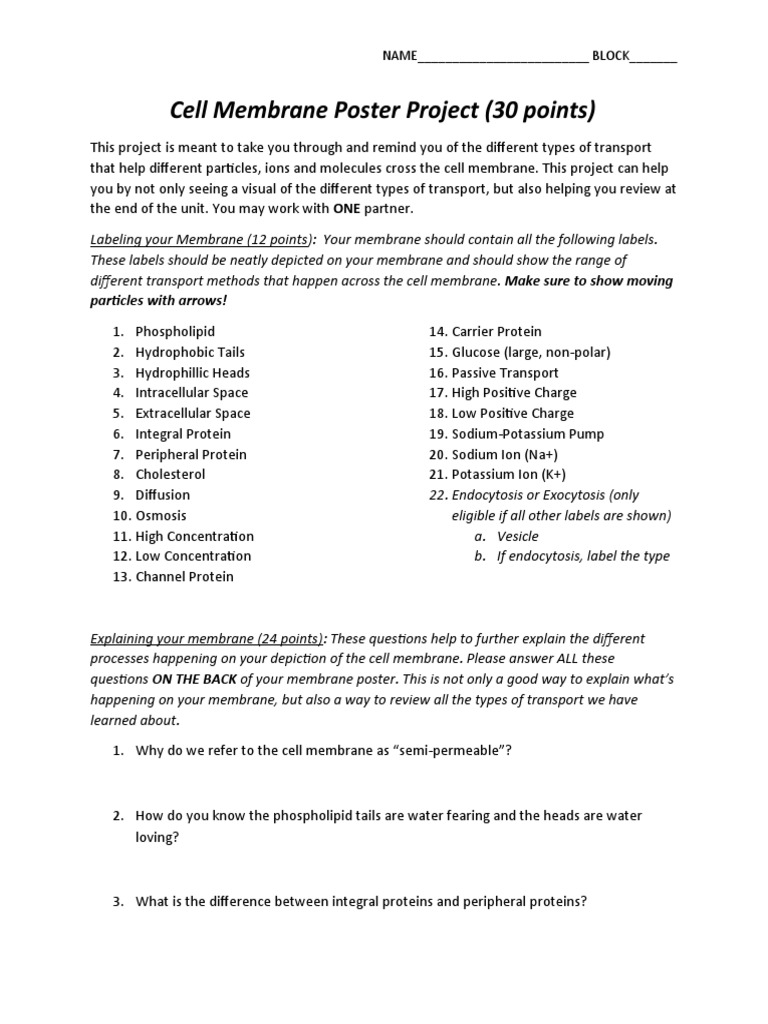 Cell Membrane Transport Project Guide | PDF | Cell Membrane | Cell Biology