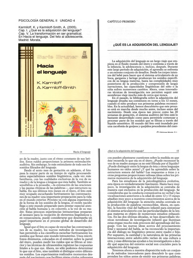 KARMILOFF&KARMILOFF2005 (1) | PDF