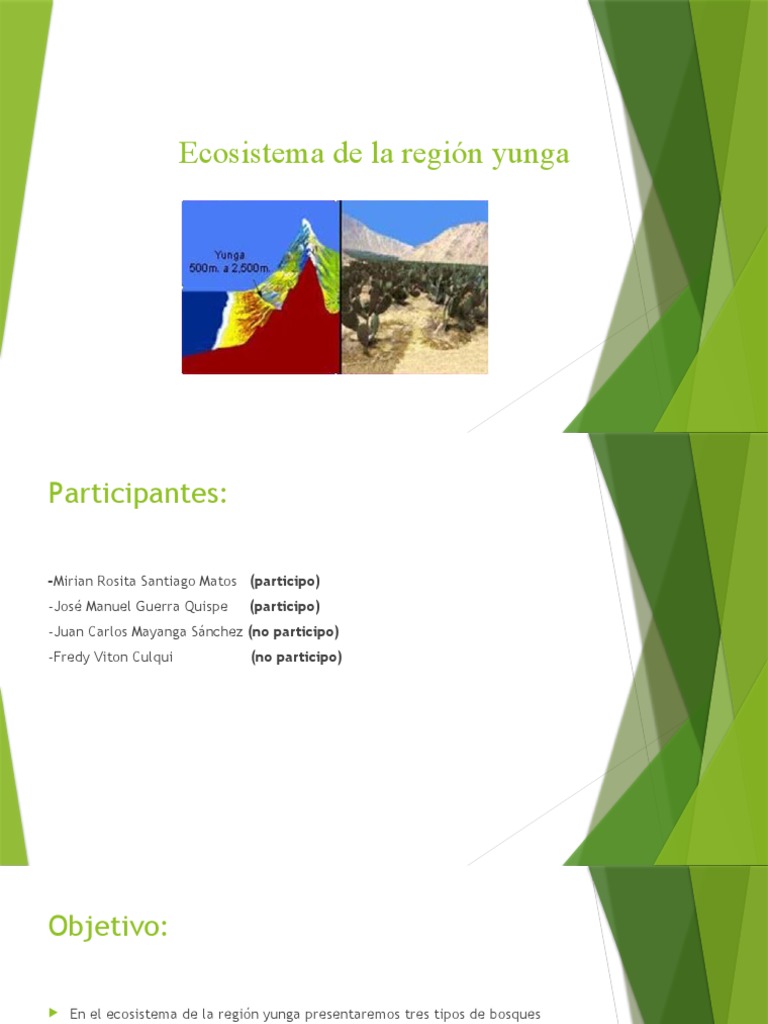 Bosques de Yunga: Tipos y Ubicación | PDF