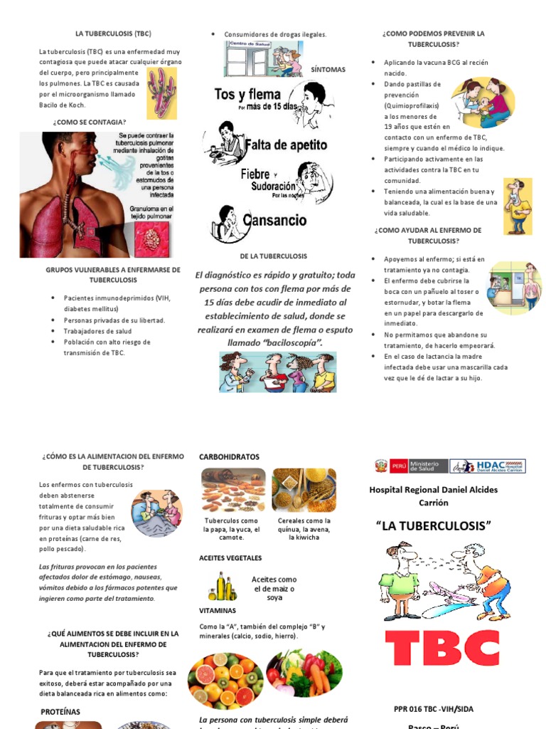 Triptico Tuberculosis | PDF