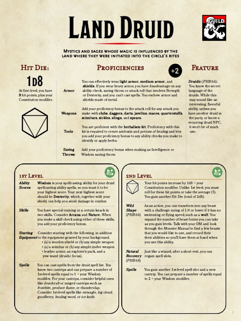 Druid Class Overview for D&D 5E | PDF
