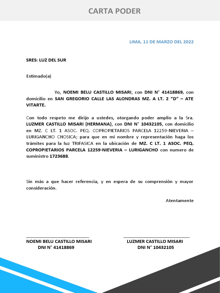 Carta Poder Luz Del Sur | PDF
