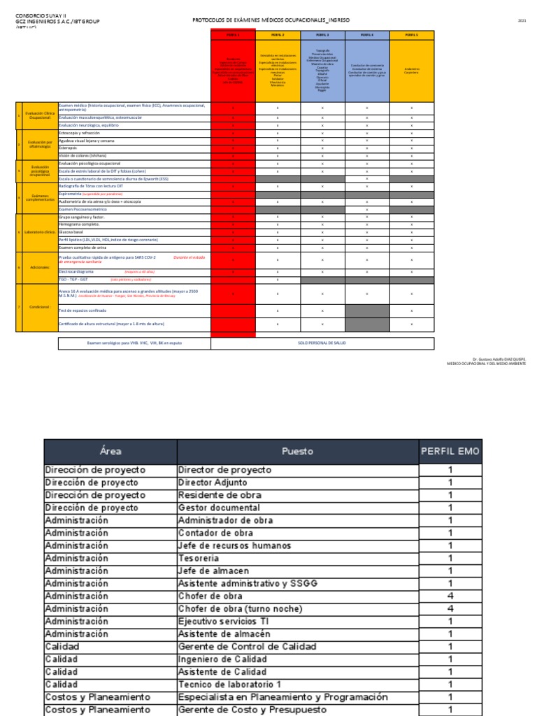 Perfiles EMO - CONSORCIO | Descargar gratis PDF | Ciencias de la Salud | Medicina