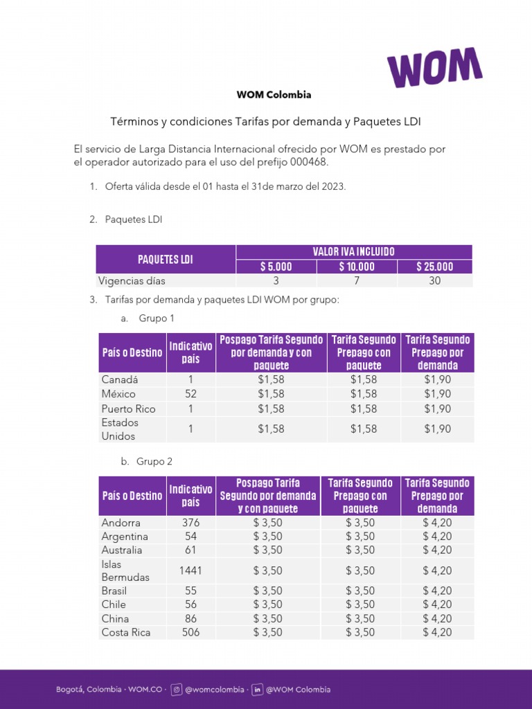 02-03 T Rminos y Condiciones LDI | PDF