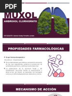 Jarabe Ambroxol+Clembuterol: Usos y Dosis | PDF | Medicina | Medicina ...