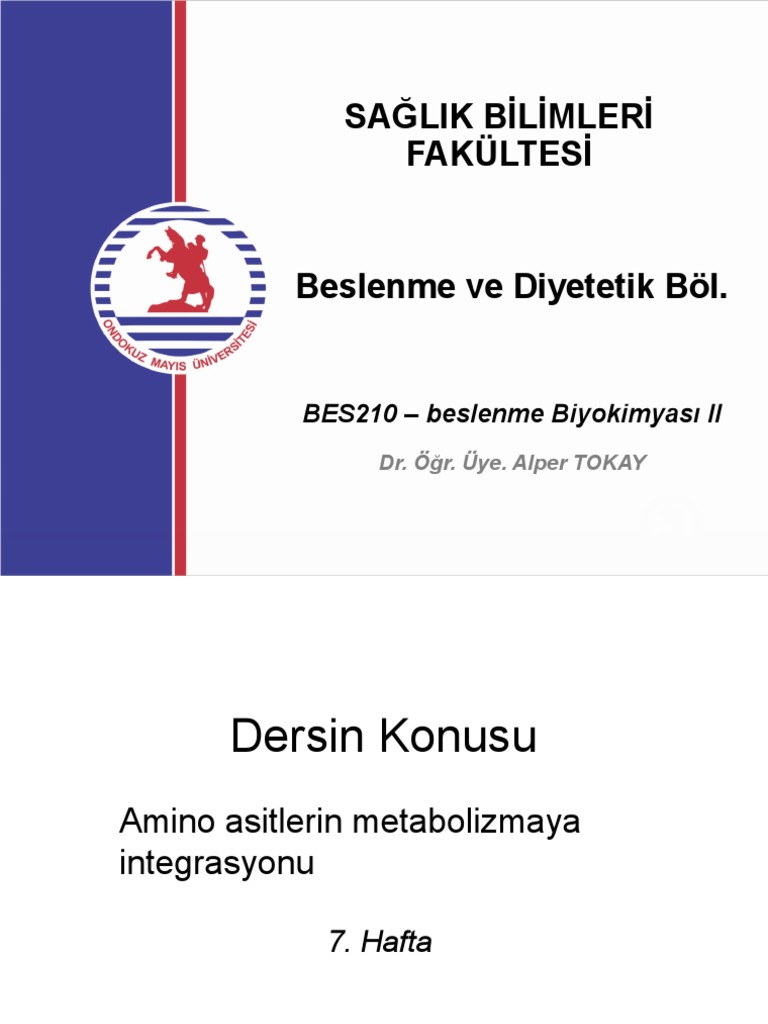 Hafta 7 - Beslenme Biyokimyası II - Amino Asit Metabolizması | PDF