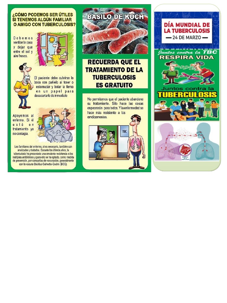 Triptico Dia Mundial de La Tuberculosis | PDF