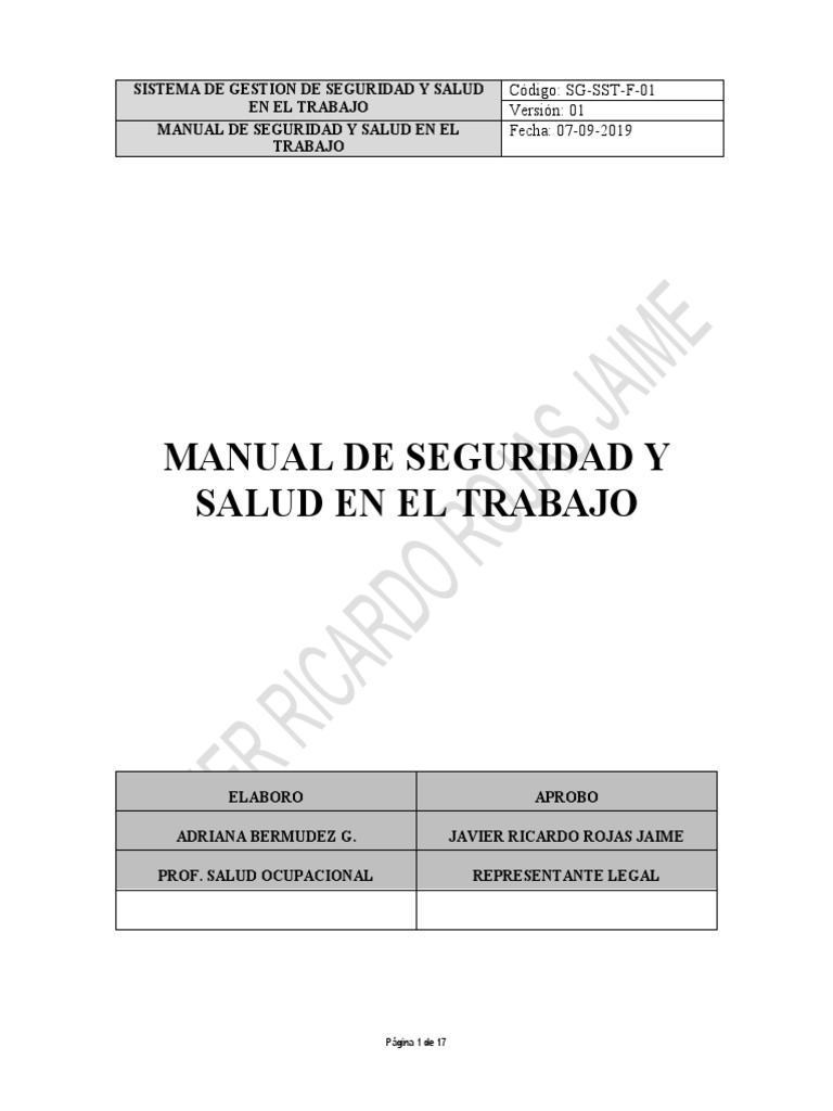 Manual de Seguridad y Salud en El Trabajo | PDF | Seguridad y salud ocupacional | Riesgo