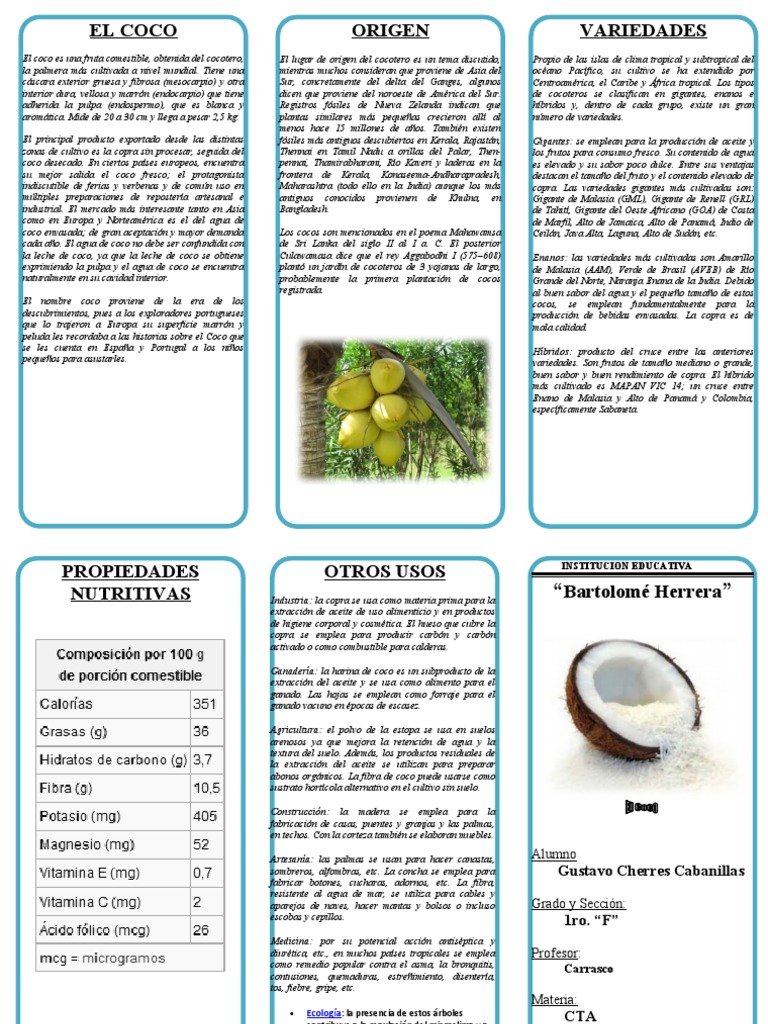 El Coco | PDF | Coco | Comida y bebida