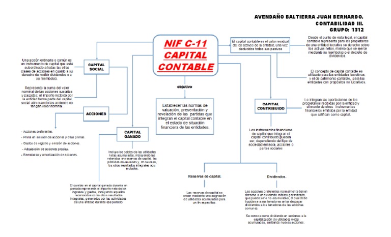 Mapa Conceptual Nif c11 | PDF