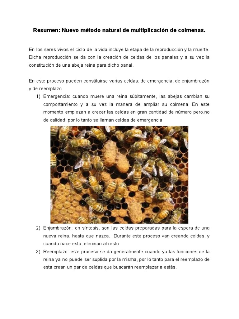 Métodos Naturales para Multiplicar Colmenas | PDF | Colmena | Western ...