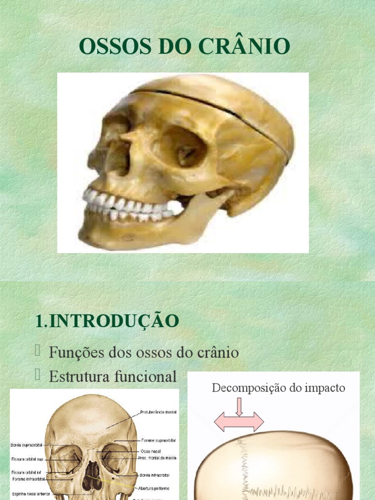 Aula 4-Ossos Do Crânio | PDF