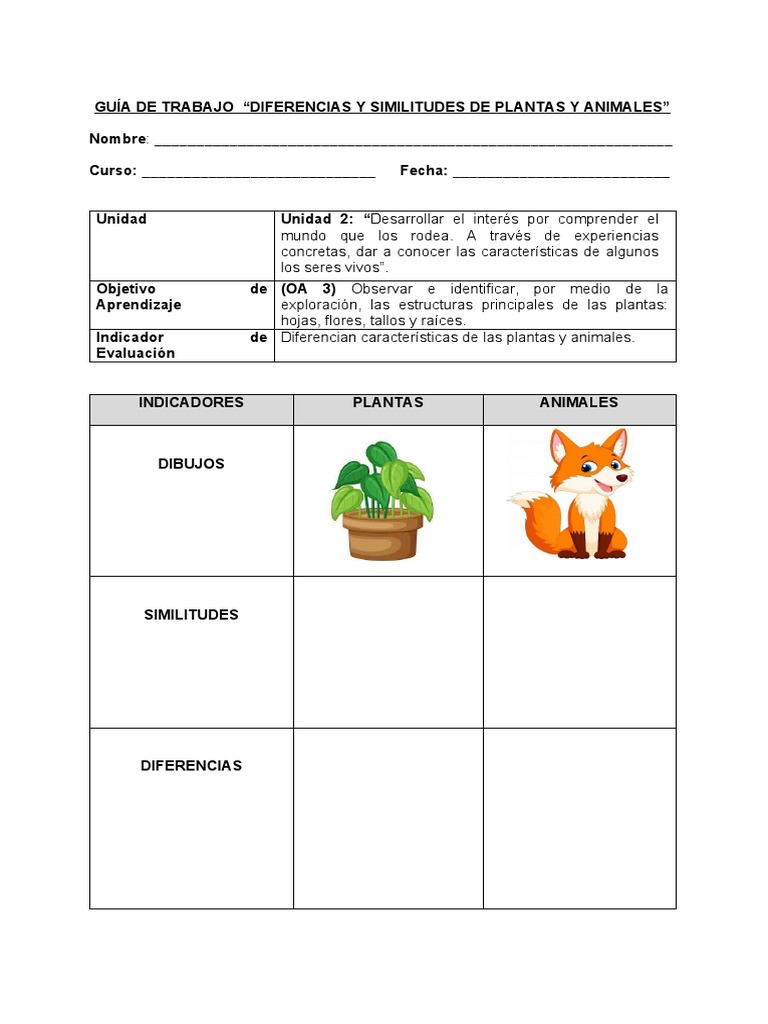 Guia Diferencias y Similitudes de Plantas y Animales | PDF
