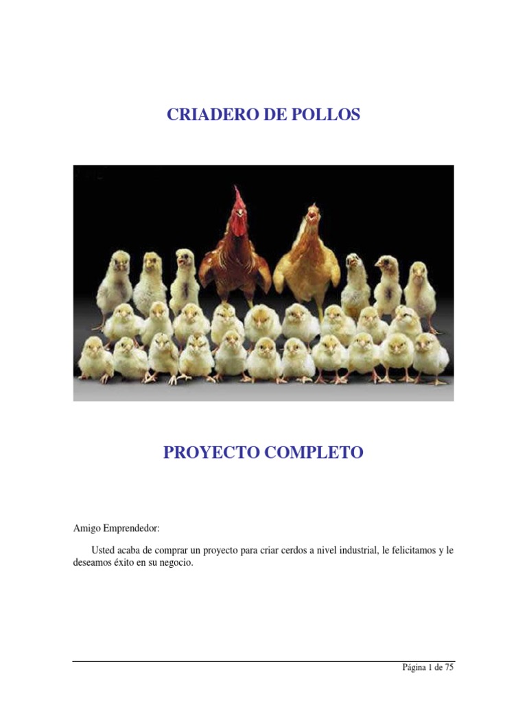Manual Cria de Pollos de Engorde | PDF