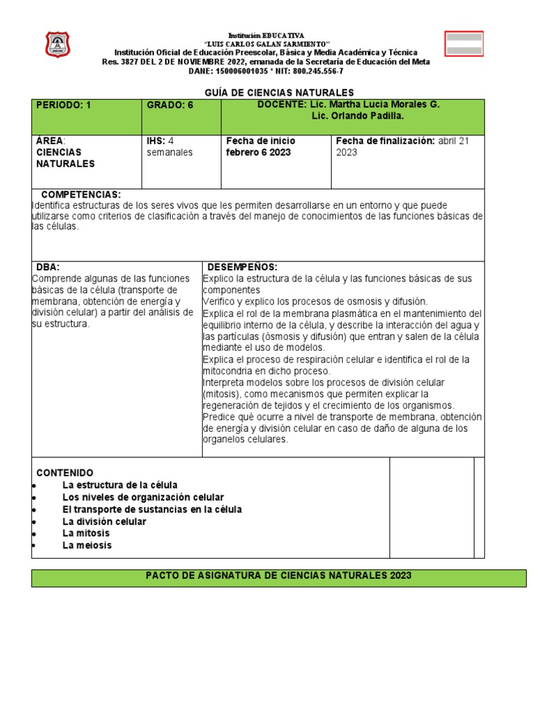 GUÍA 1 CIENCIAS N SEXTO 1. PERIODO MARTHA M FEB 2 - 2023 2 y 33pm | PDF ...