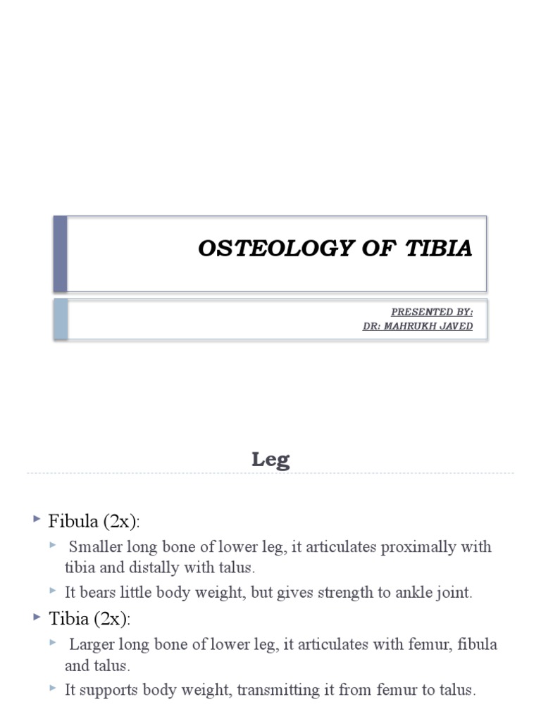 Osteology of Tibia | PDF | Skeletal System | Musculoskeletal System