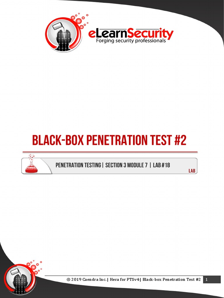 3. Black-box Penetration Test 2 | PDF | World Wide Web | Internet & Web
