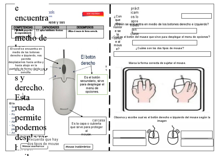 Guía Básica del Uso del Mouse | PDF | Informática | Software