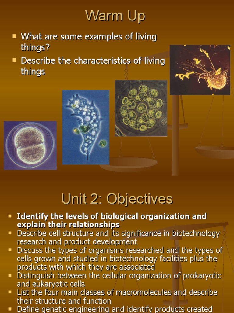 Biotechnology Unit 2 Lecture | PDF | Cell (Biology) | Organisms