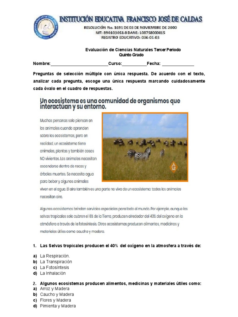 Evaluación Naturales Periodo 3 2023 | PDF