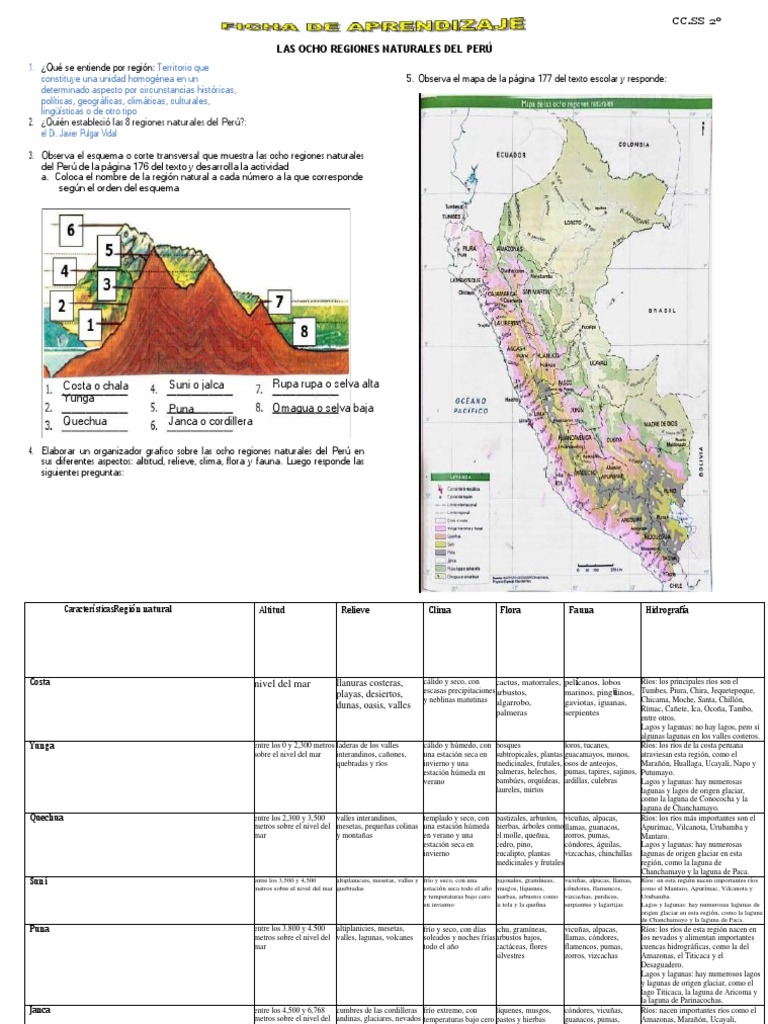 FICHA LAS OCHO REGIONES NATURALES DEL PERÚ Mathi Gaaaaaaa | PDF ...