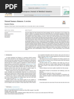 Human Chimerism: A Systematic Review of Mechanisms, Cases, and Clinical ...