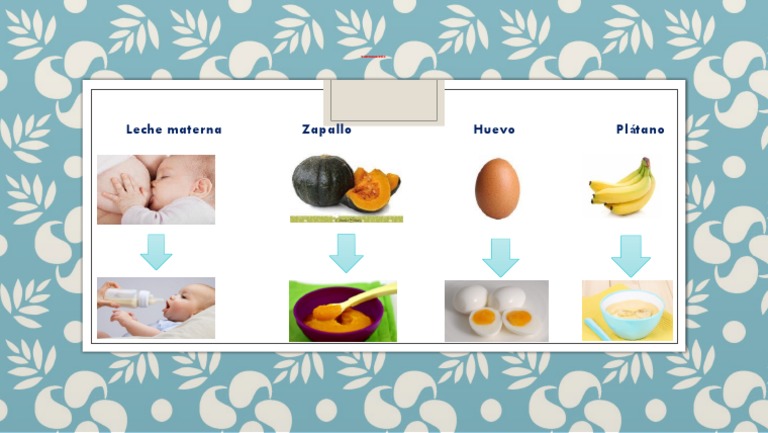 Nutrientes Para Los Niños Pdf