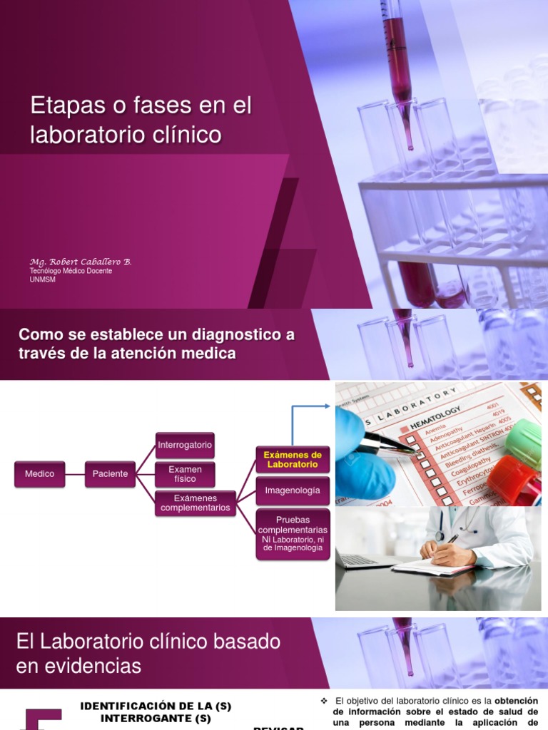 Clase 5. Etapas o Fases Lab | PDF | Laboratorios | Calibración